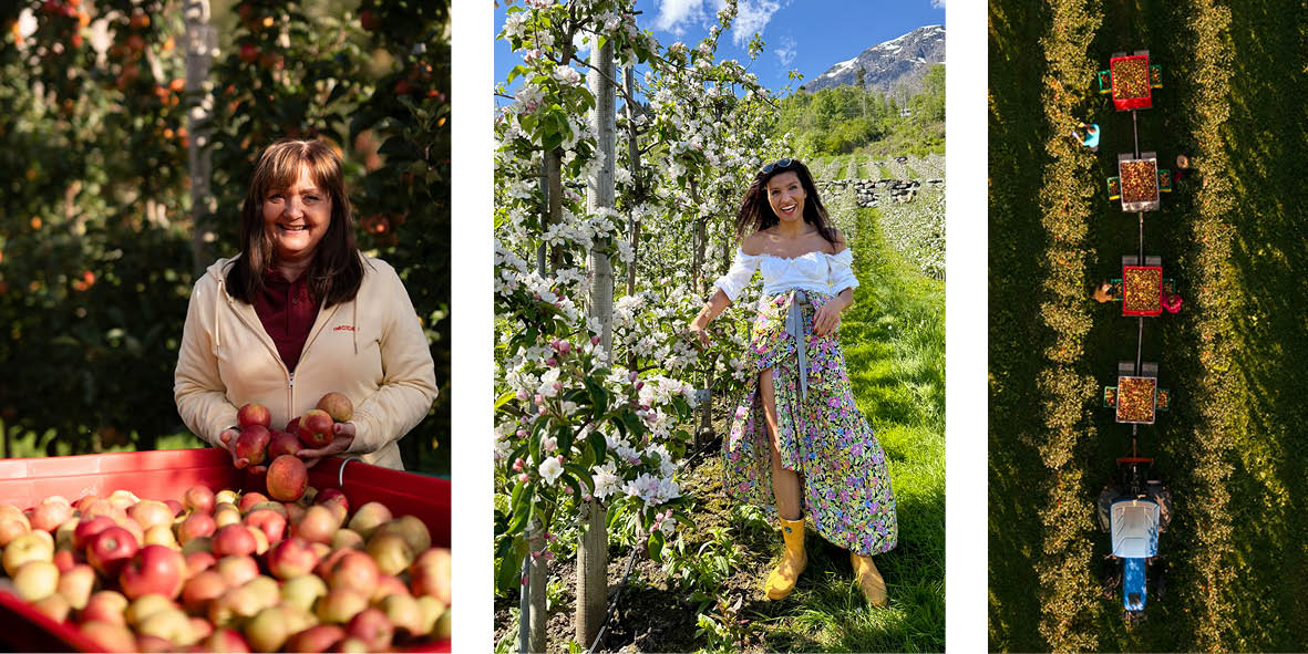 Edel Sider, OmCider og Gardsbrenneriet - Smak & prat kurs - Bergen ...